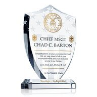 Air Force Shield Plaque