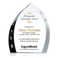 Ignite Leadership Achievement Award